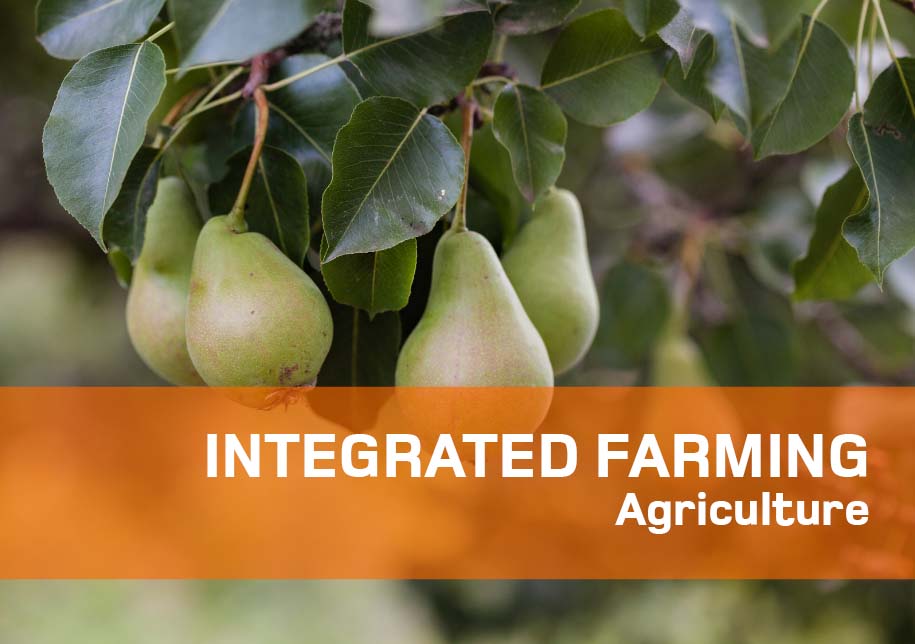 Integrated Farming | Applus+ Certification