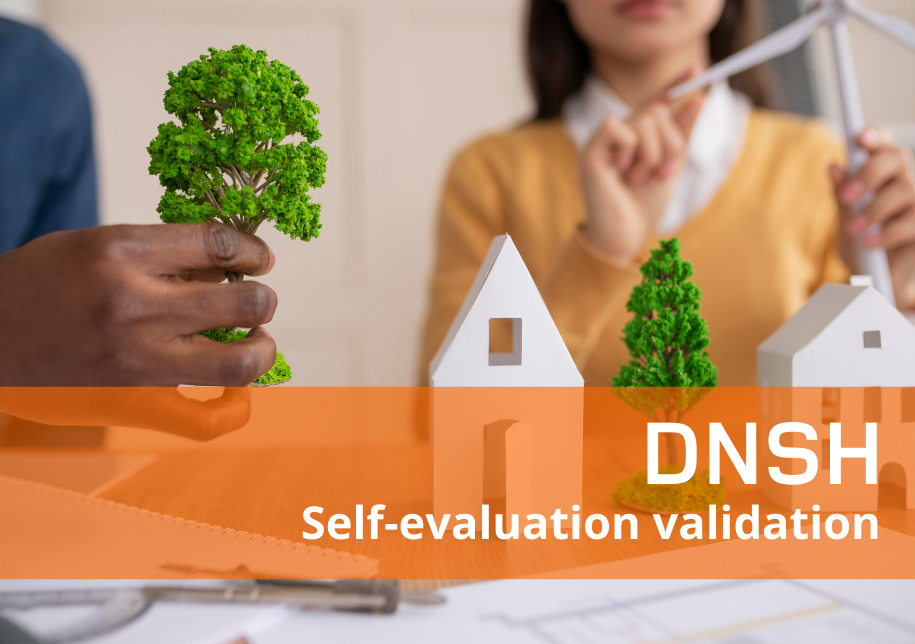 Validation of DNSH compliance self-assessment
