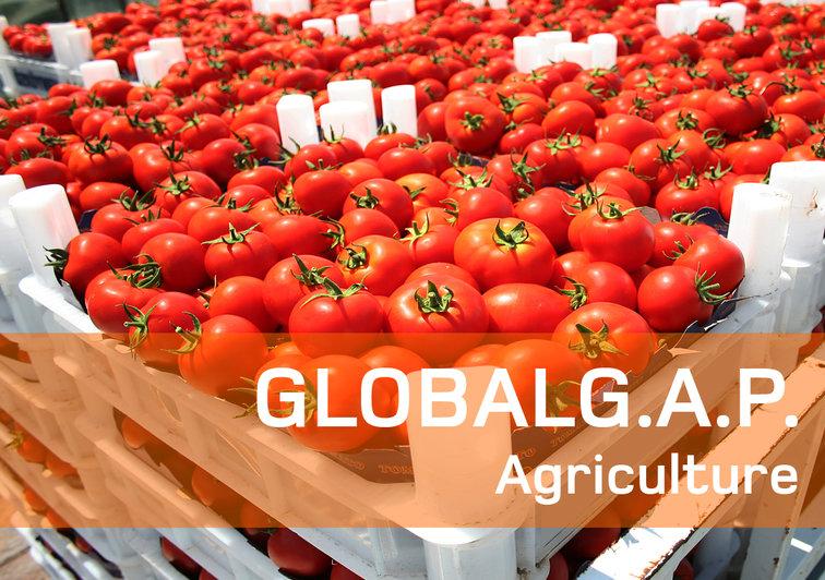 Certificación GlobalG.A.P. | Applus+ Certification